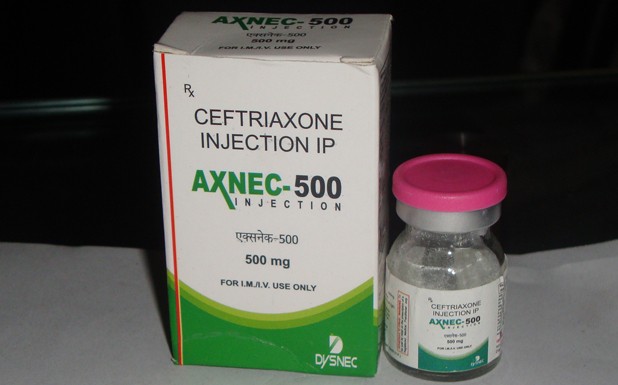 Ceftriaxone Ceftriaxone Injection I.p At ₹ 154/vial | Kirti Nagar